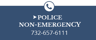 Home - Manchester Police Department Manchester NJ